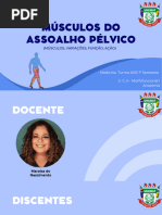 Tipos de Pelve e Suas Características | PDF