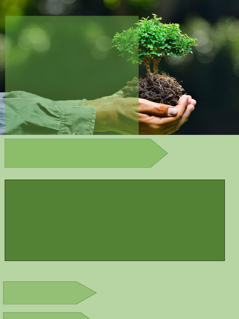 عرض تقديمي | PDF