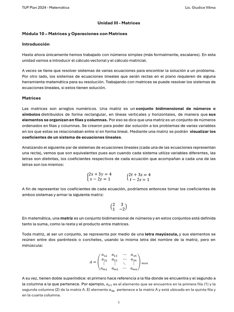 Modulo 10 - Matrices (1) | PDF | Matriz (Matemáticas) | Determinante