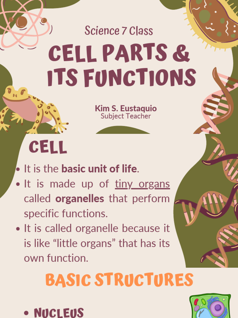 Cell Parts and Functions Overview | PDF | Endoplasmic Reticulum | Cell ...
