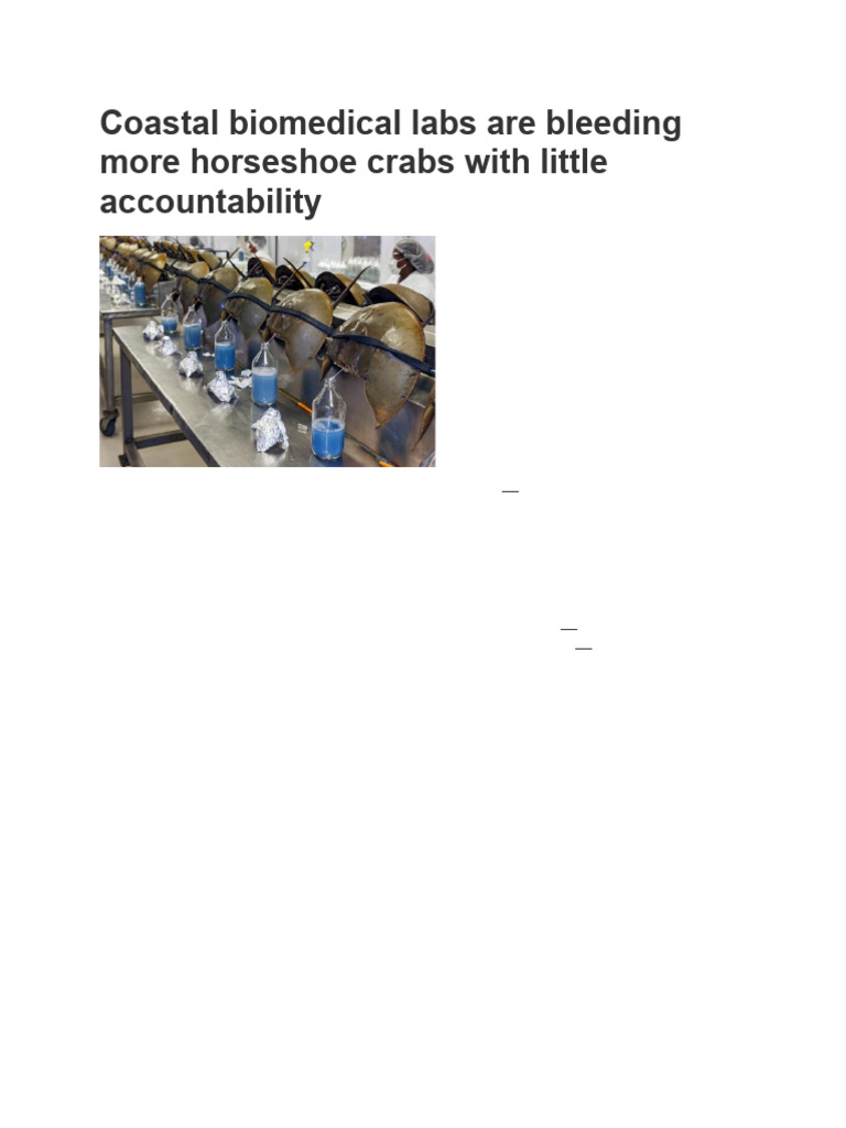 Horseshoe Crab Bleed | PDF | Lipopolysaccharide | Medical Specialties