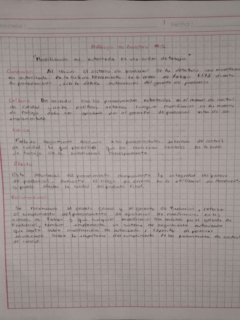 Practica Auditoría Operativa | PDF