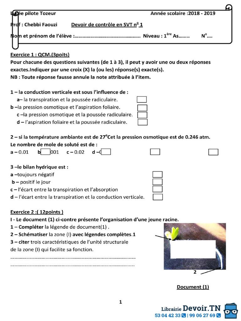 Devoir de Contrôle N°1 Lycée Pilote 2018 2019 (MR Chebbi Faouzi) | PDF