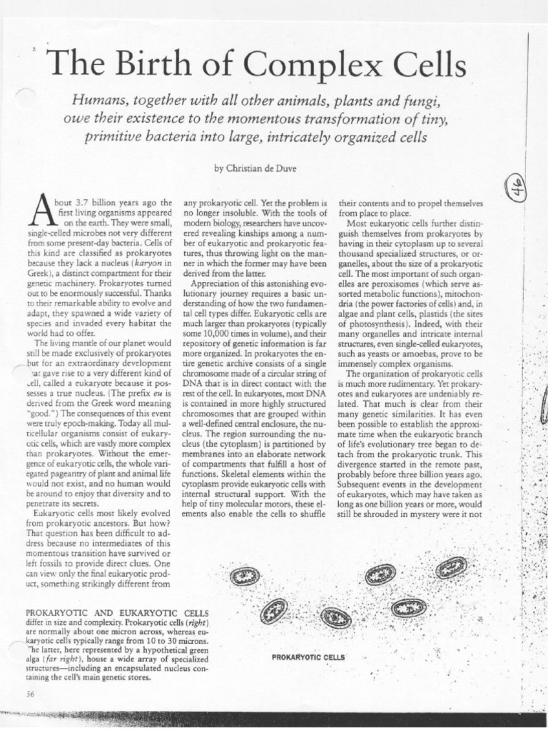 Birth_of_a_Complex_Cell-_article | PDF