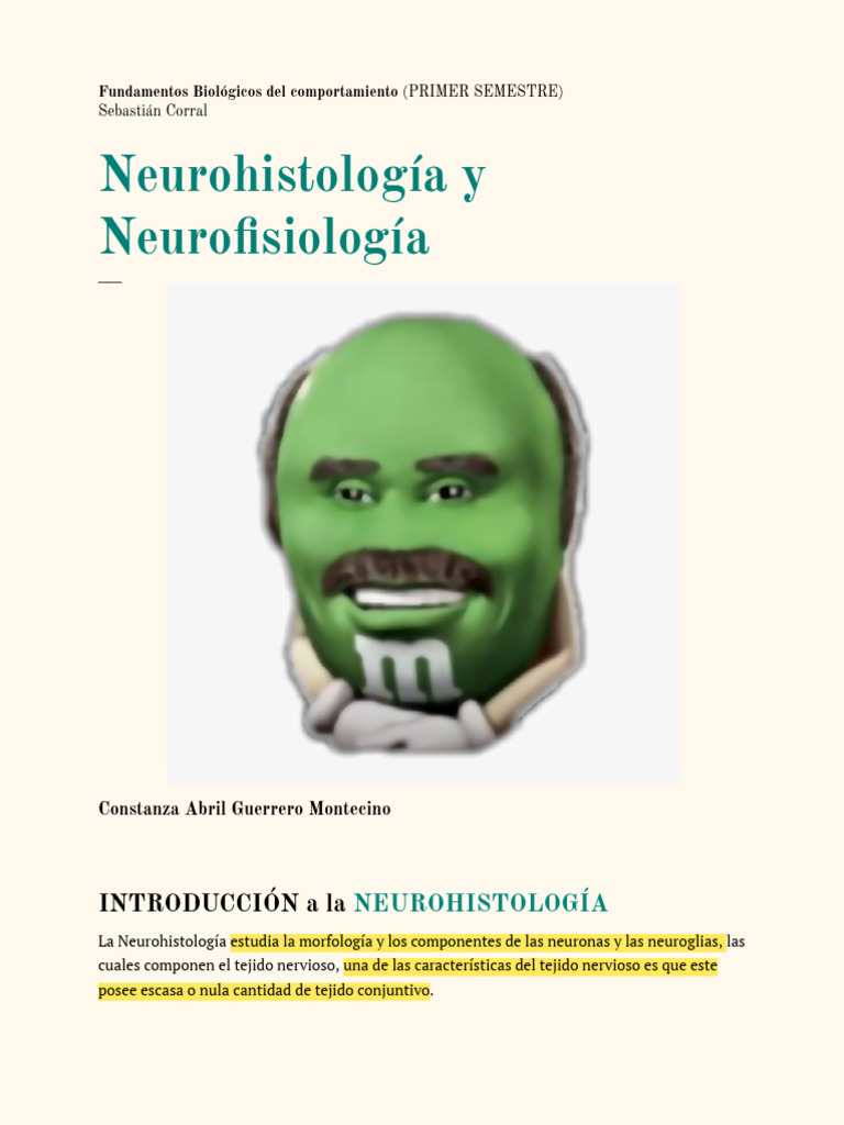 Neurohisto y Neurofisio | PDF | Sinapsis | Neurona
