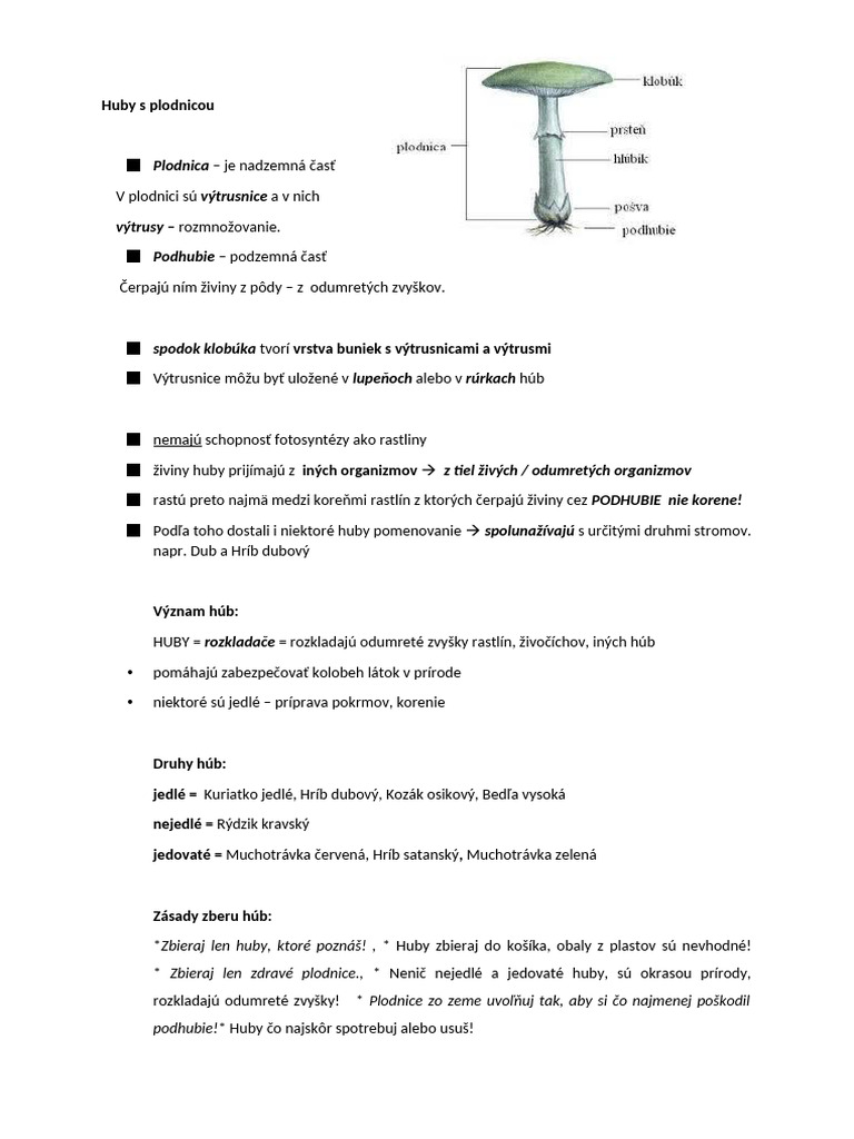 Huby S Plodnicou - Poznámky | PDF