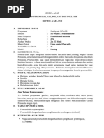 Contoh Studi Kasus PPG Daljab 2024 Untuk SD Kelas 2 | PDF