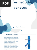 Cap 21 Sistema Venoso Superficial | PDF | Vena | Abdomen