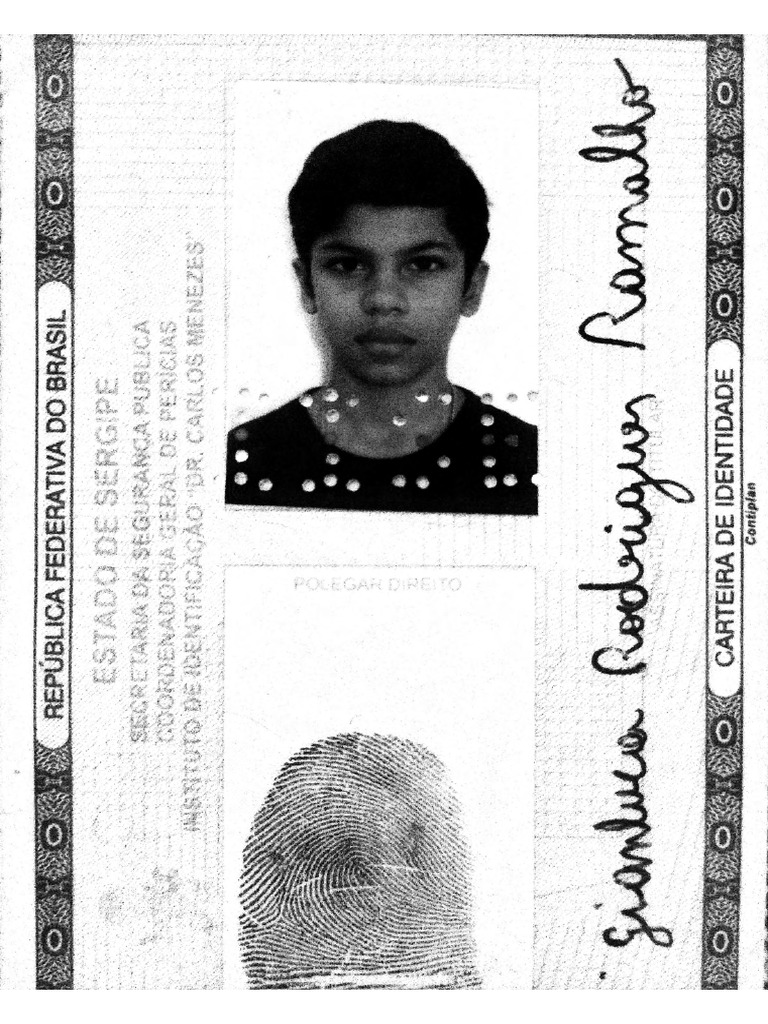 RG Compactado 1 | PDF