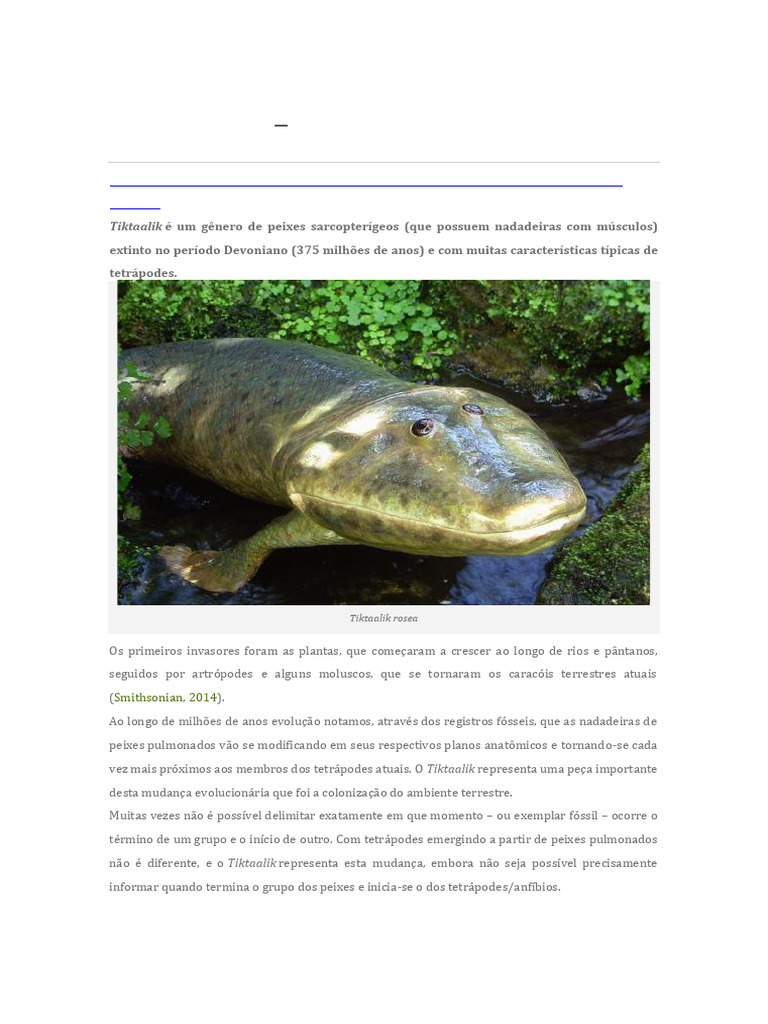 A História Evolucionária Dos Tetrápodes - Netscience | PDF | Peixes | Fóssil