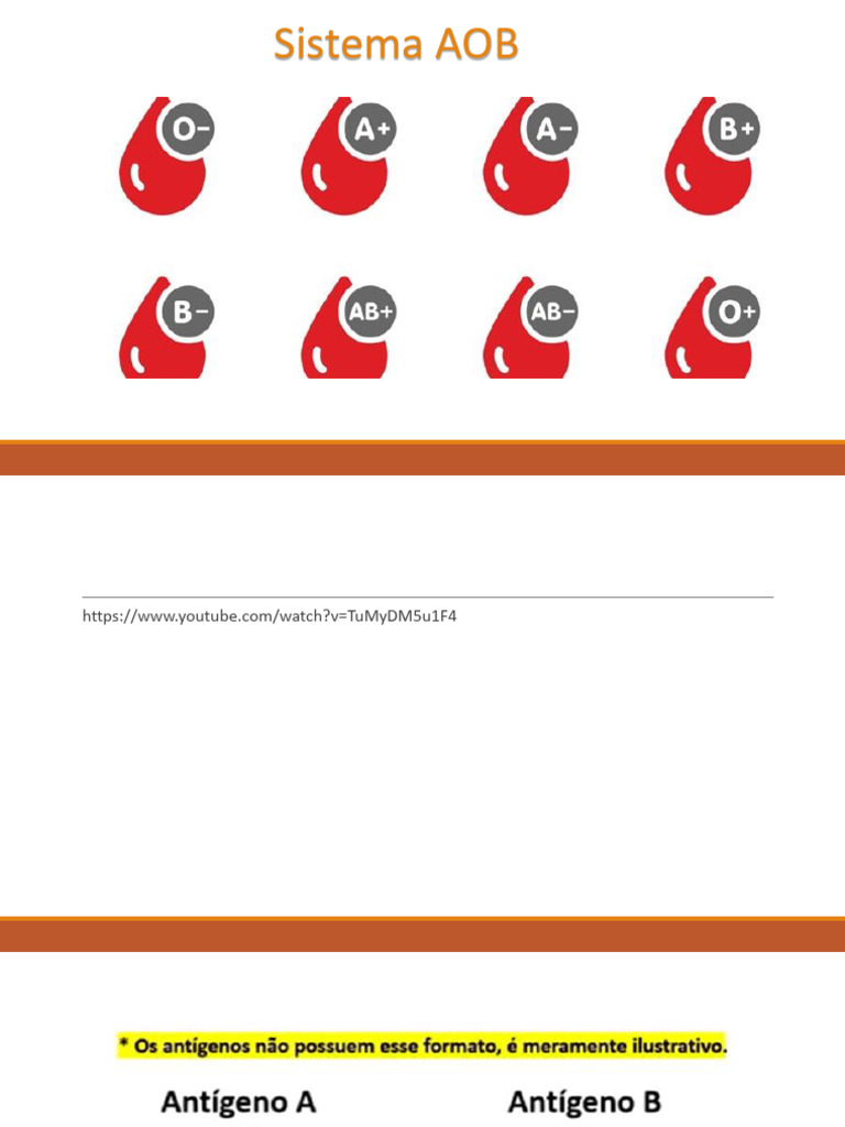 Sistema AOB | PDF | Cooking, Food & Wine | Technology & Engineering