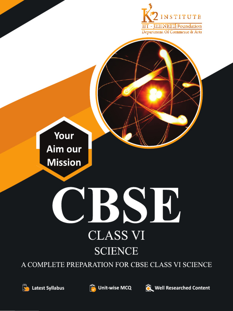 CLASS 6 SCIENCE | PDF | Leaf | Foods