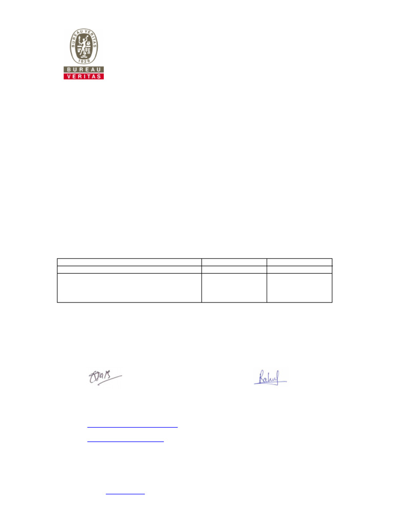 BV Test Report PDF | PDF | Materials | Chemical Substances