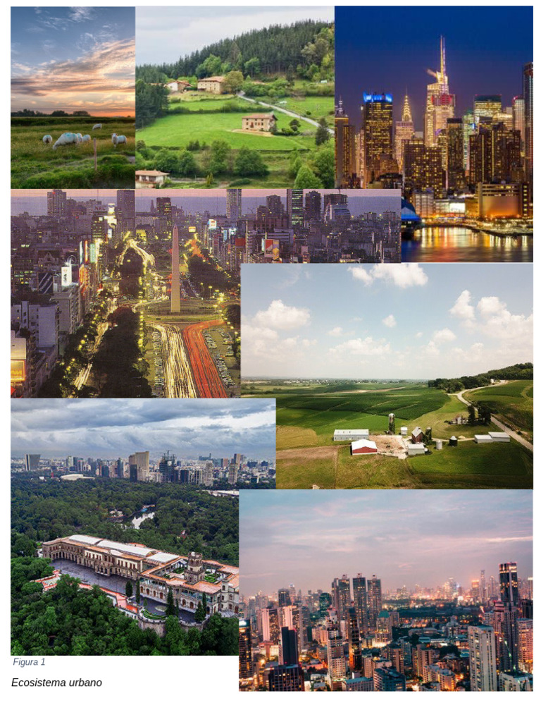 Collage Ecologia | PDF