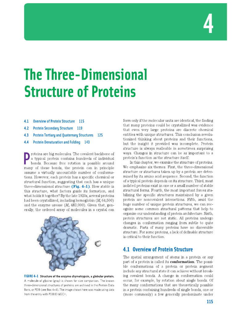 Chapter 04 - Protein Structure | PDF