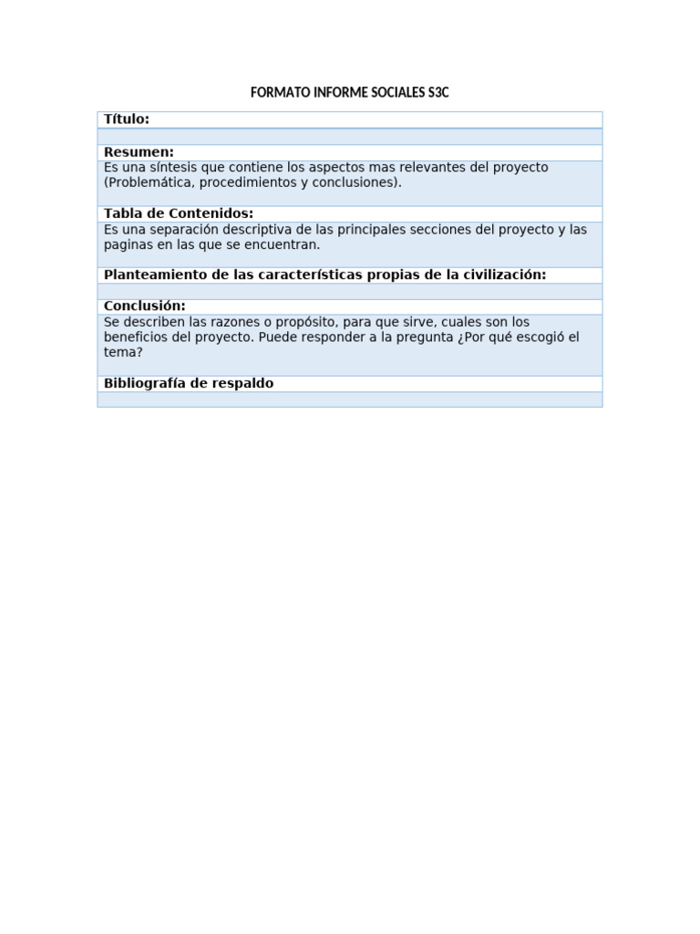 Formato Informe Soc s3c | PDF | Informática