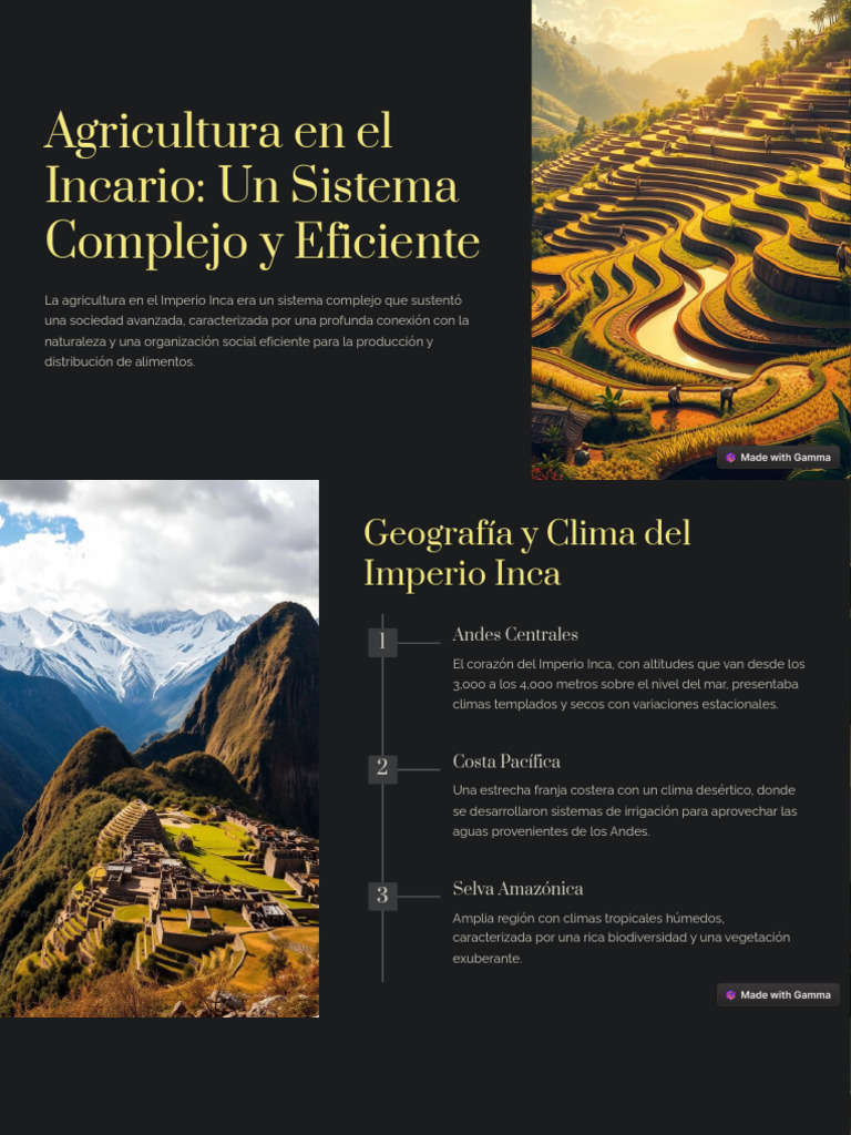 Agricultura en El Incario Un Sistema Complejo y Eficiente | PDF ...