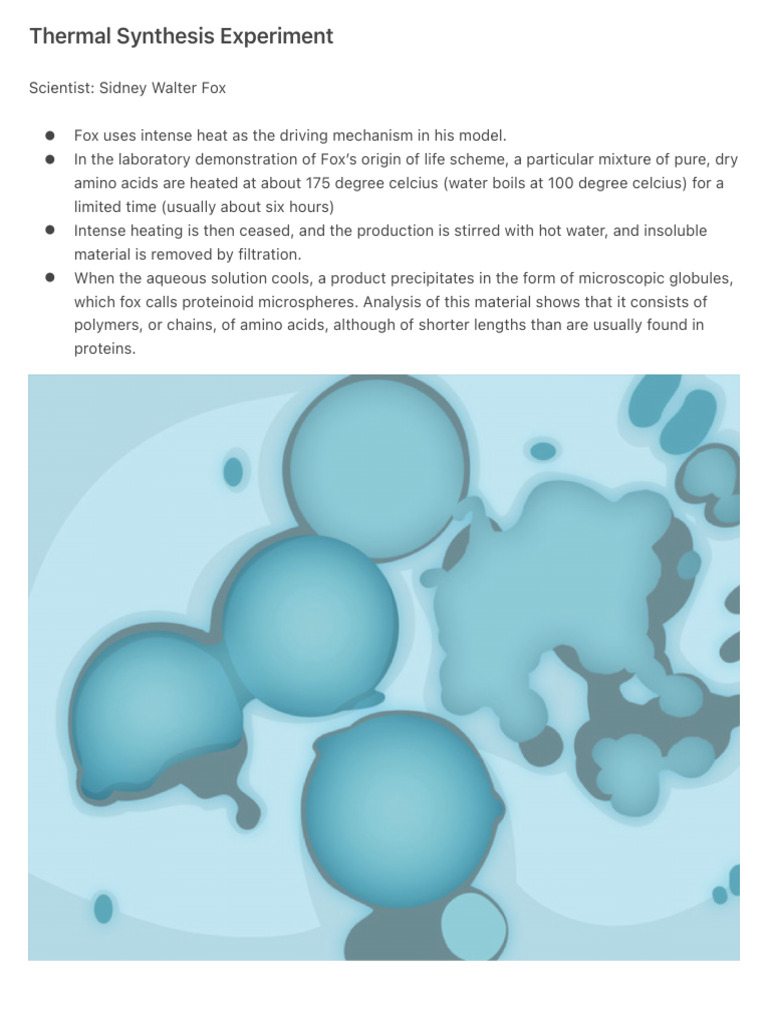 Thermal Synthesis and Hydrothermal Vents | PDF | Hydrothermal Vent ...