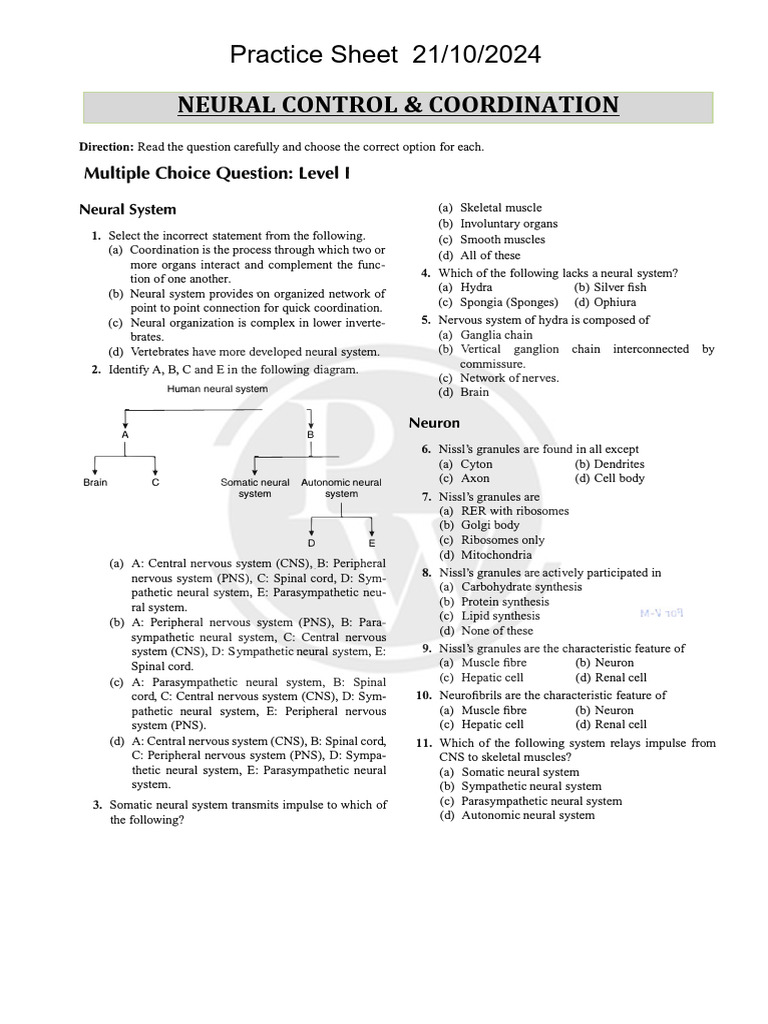 Practice Sheet - 01 | PDF | Nervous System | Neuron