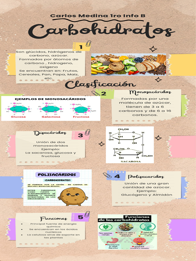 Infografia - Carbohidratos | PDF