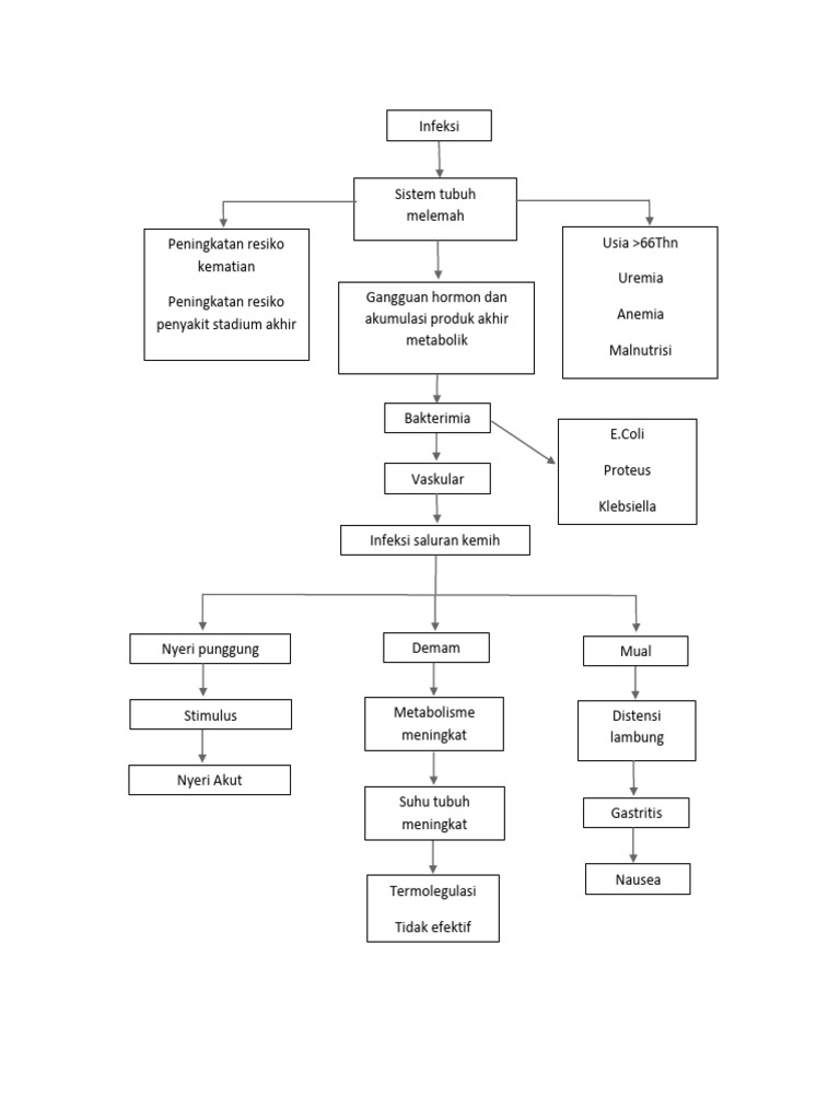 Woc Infeksi CKD | PDF