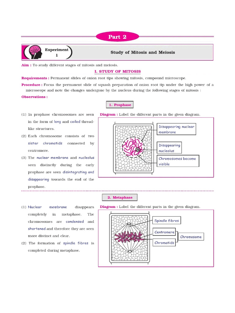 Biology Practical Book | PDF