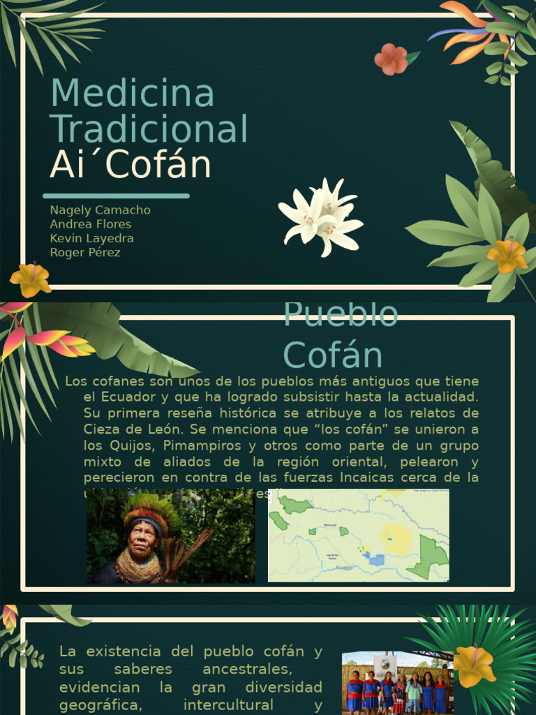 Medicina Tradicional Ai Cofán | PDF | Ropa