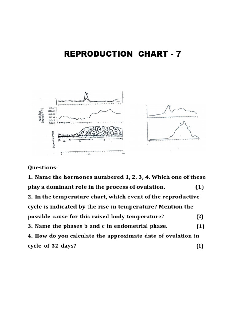 GIT - Charts | PDF | Menstrual Cycle | Diseases And Disorders
