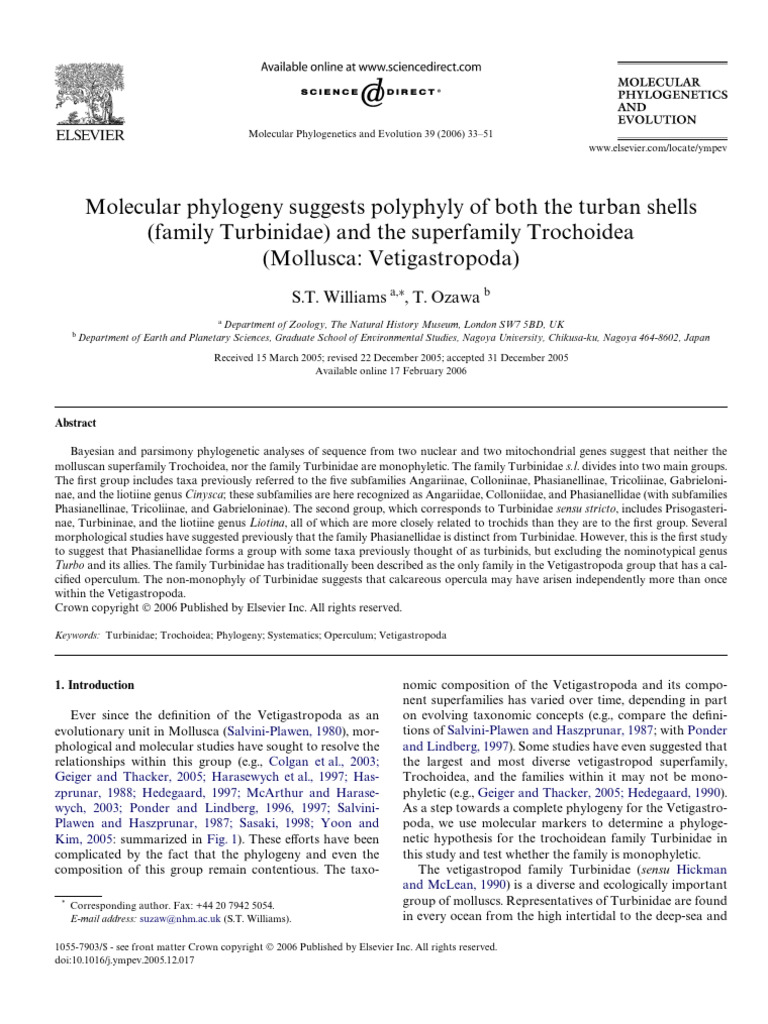 Molecular Phylogeny Suggests Polyphyly of Both The Turban Shells ...