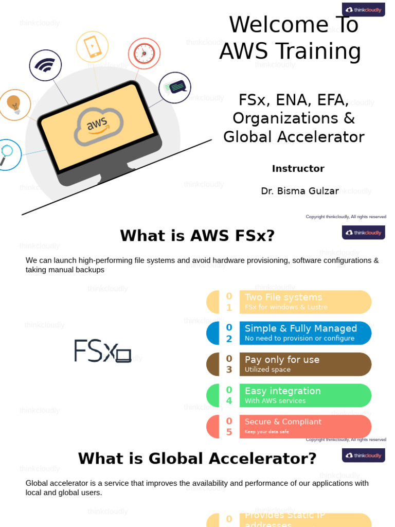 FSX, EFA, Organizations, ENA & GA | PDF | Software | Computing