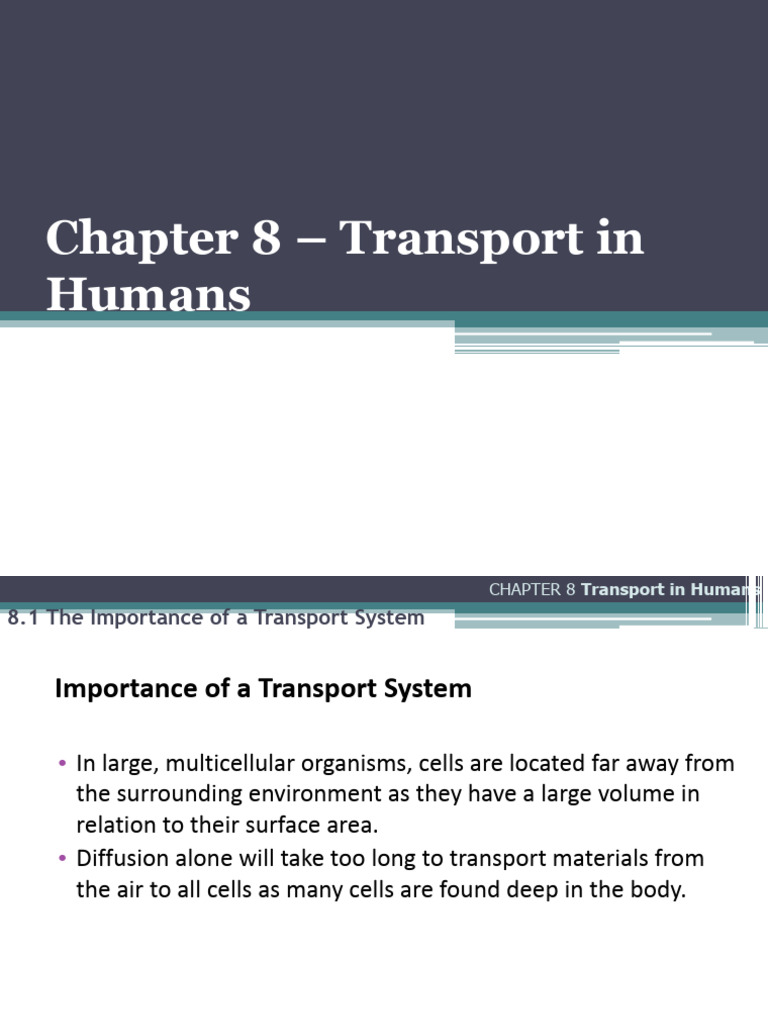 Transport in Humans (Integrated Science).ppt | PDF | Atrium (Heart) | Heart