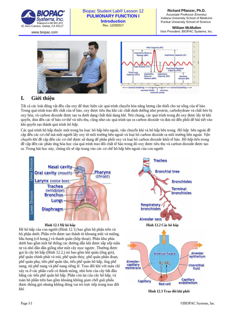 L12 Introduction | PDF