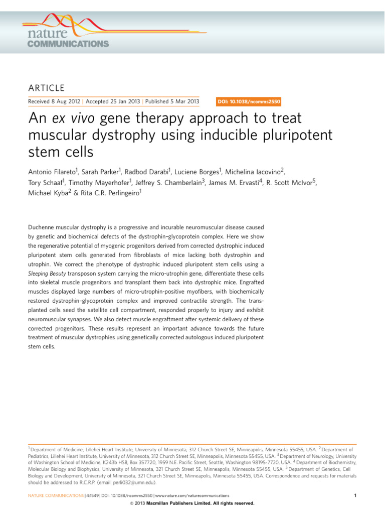 An Ex Vivo Gene Therapy Approach To Treat Muscular Dystrophy 58uda5i4ni ...