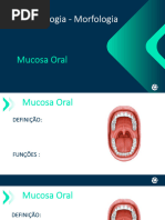 Estrutura e Função da Mucosa Oral | PDF | Boca | Epitélio