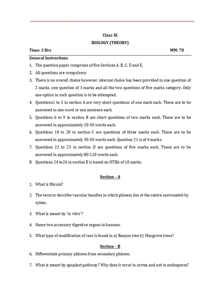 Class 11 Biology Sample Paper | PDF | Plant Stem | Plants