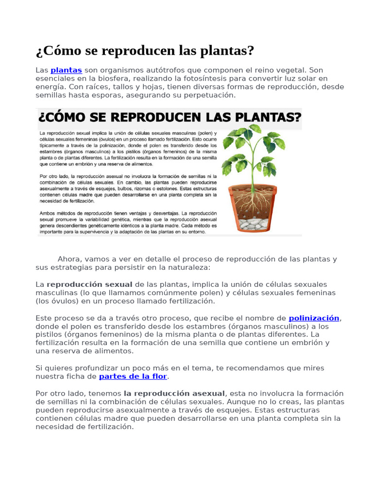 Cómo Se Reproducen Las Plantas | PDF