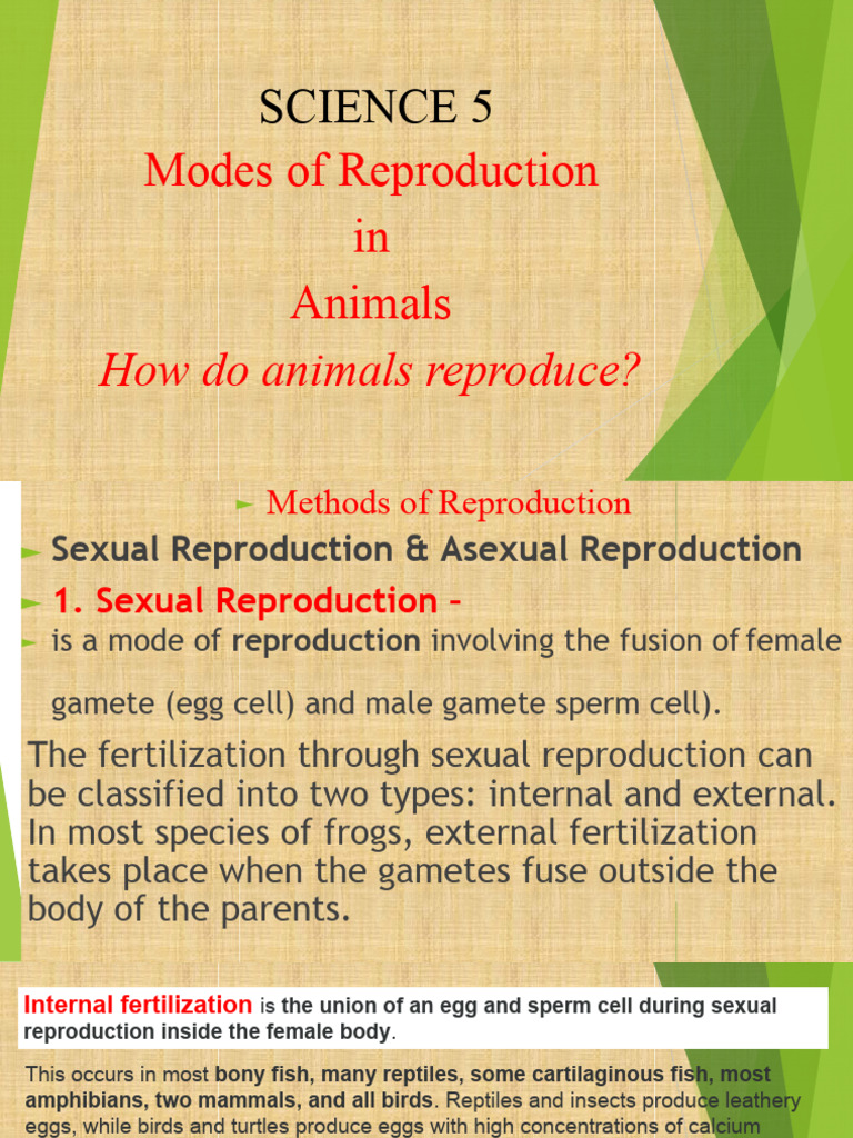 SCI - 5 - Mode of Reprodution in Animal | PDF | Sexual Reproduction | Reproduction