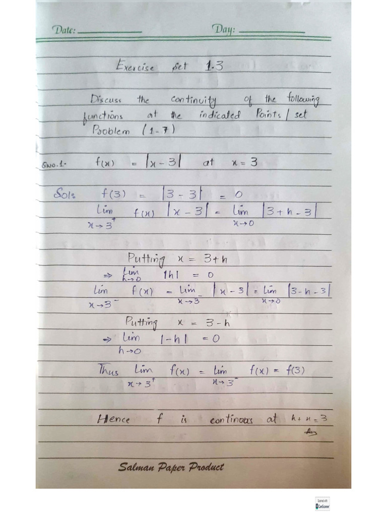 Exercise 1.3 Calculus assignment | PDF