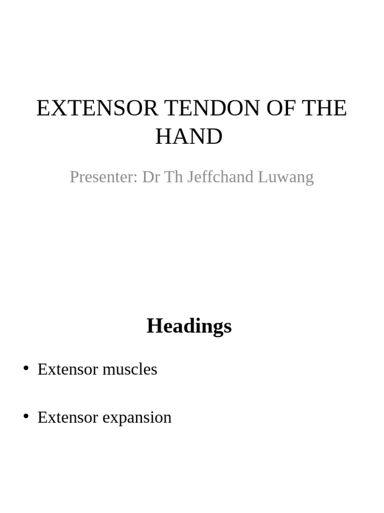 EXTENSOR TENDON OF THE HAND - PPTM | PDF | Thumb | Hand