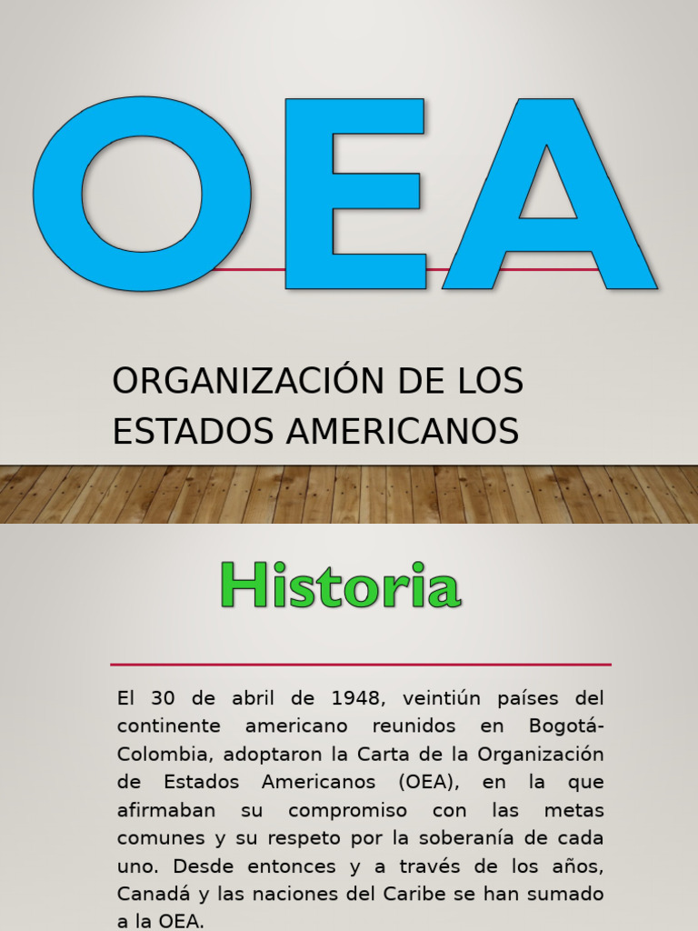 Presentacion OEA | PDF | Relaciones Internacionales | Gobierno