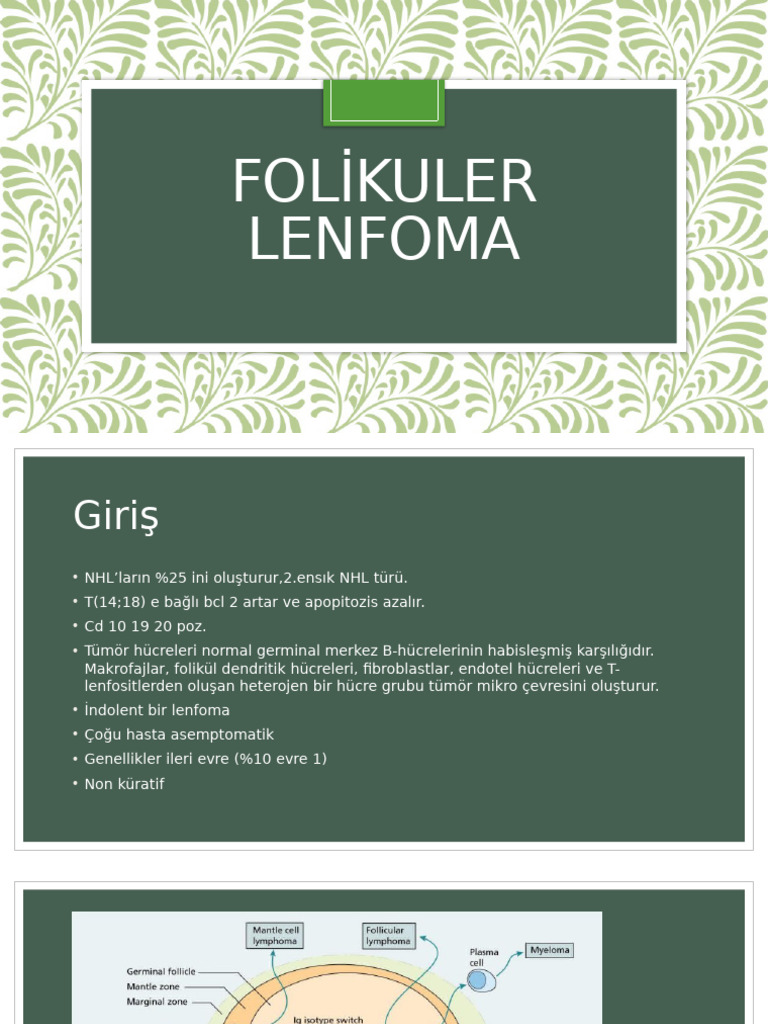Folikuler Lenfoma | PDF
