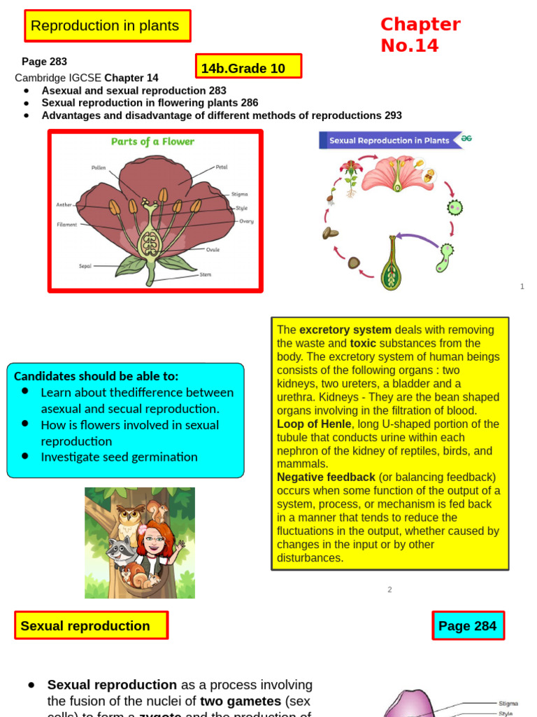14b.reproduction in Plants. Grade 10 Miss Elsa | PDF | Pollination ...