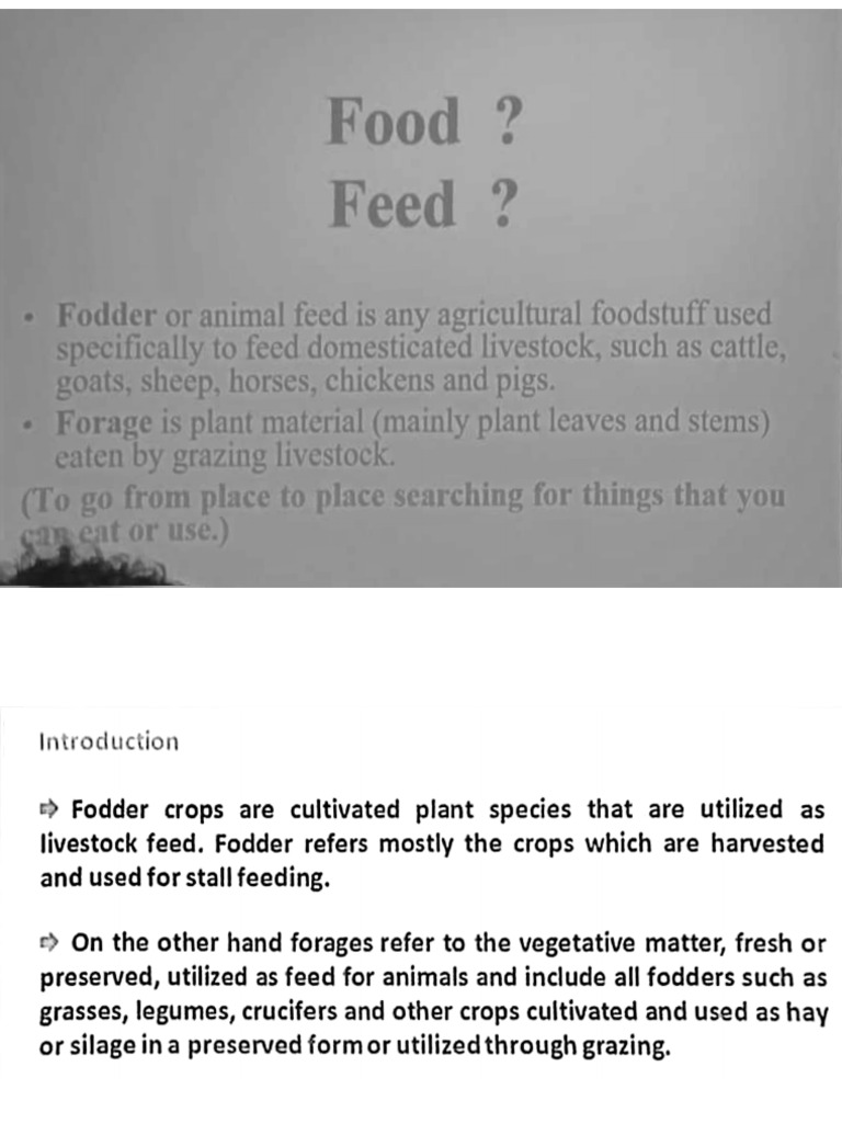 AGRONOMY Food Feed Fodder | PDF
