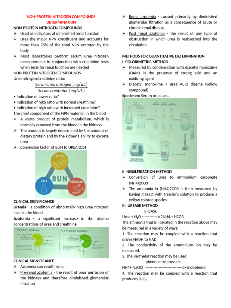 Non-Protein Nitrogen Compounds Determination | PDF | Creatinine | Urea