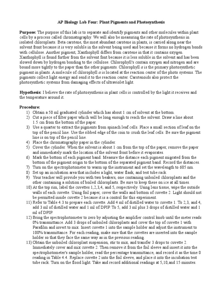 AP Biology Lab Four: Plant Pigments and Photosynthesis | PDF ...