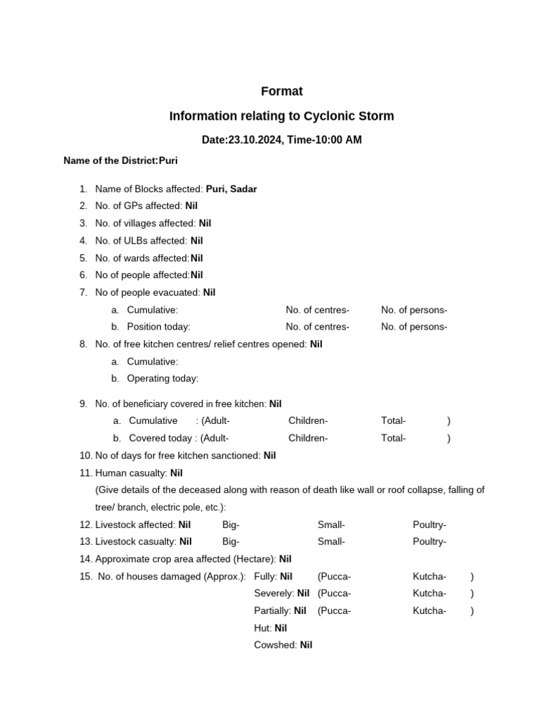 2310daily Situation Report Format | PDF