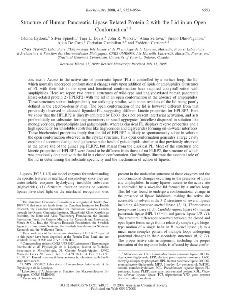 Lipase Structure: Open Lid Insights | PDF | Active Site | Protein Domain