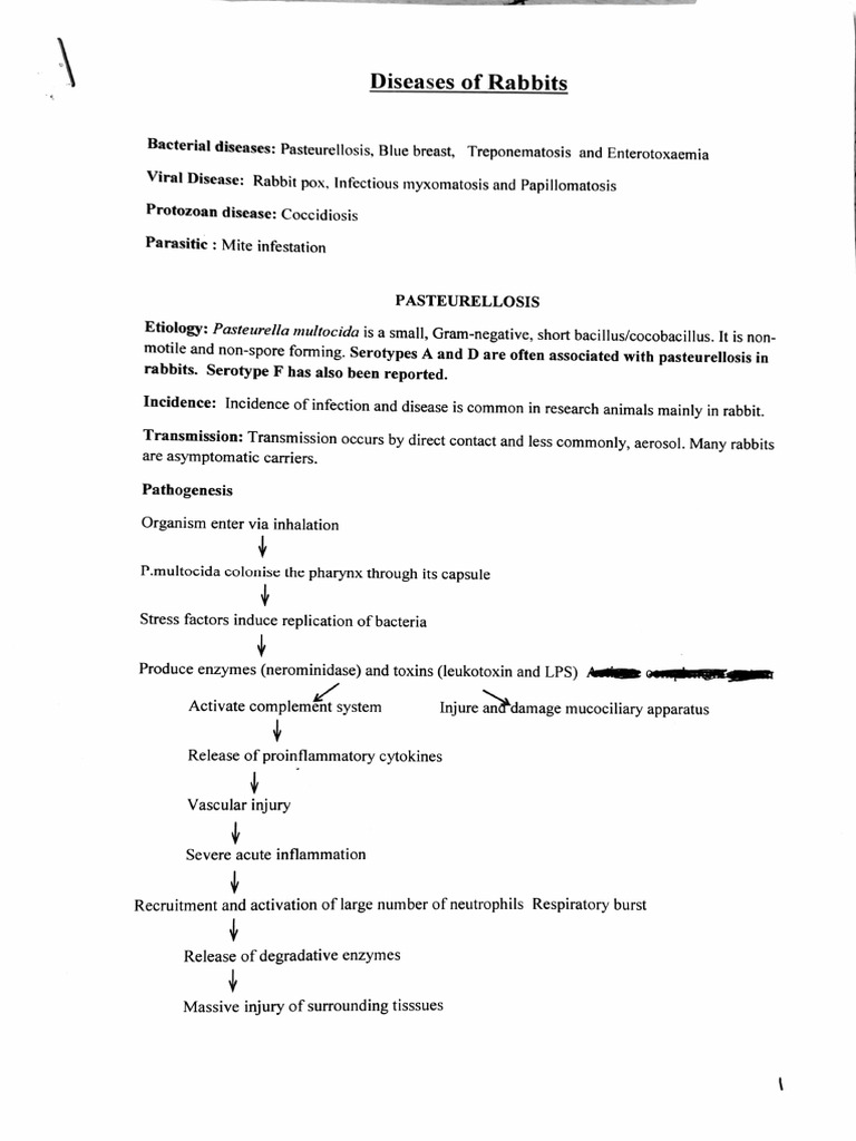 Pathology Wildlife | PDF | Smallpox | Infection