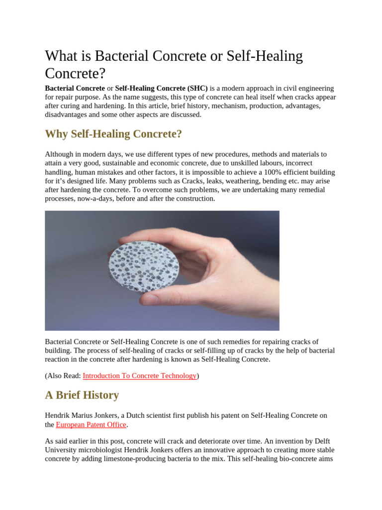 Bio Concrete | PDF | Concrete | Bacteria