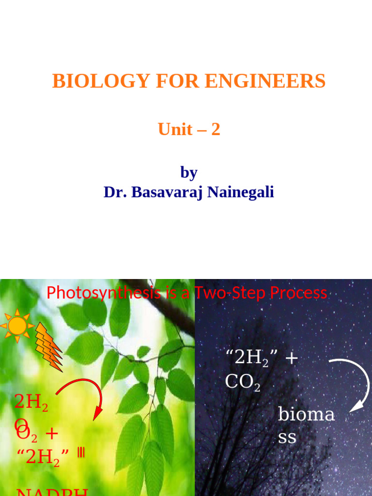 Artificial Photosynthesis & Bionic Leaf | PDF | Photosynthesis ...